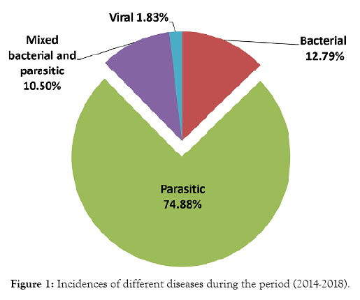 Freshwater Fish Disease Chart Freshwater Shrimp & Fish Compatibility