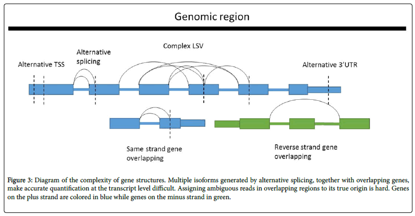 next-generation-sequencing-applications-Diagram-complexity-gene-structures next-generation-sequencing-applications-Diagram-complexity-gene-structures
